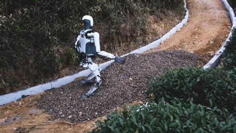 Humanoid Robotics Technology