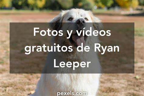 Ryan Leeper Fotografía