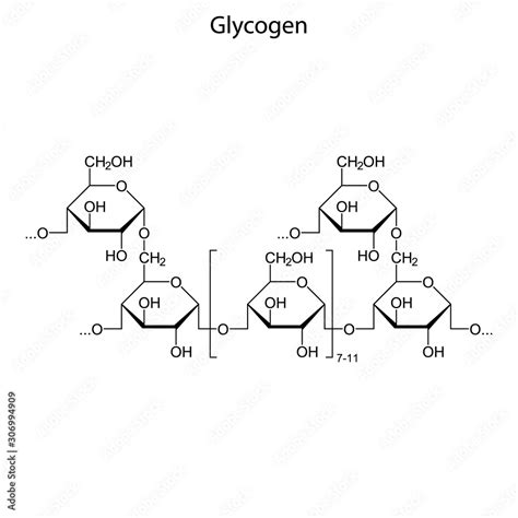 Glycogen Skeletal Formula Of Chemical Element Stock Vector Adobe Stock