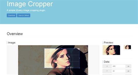 JQuery Image Crop And Resize Plugins Learning JQuery