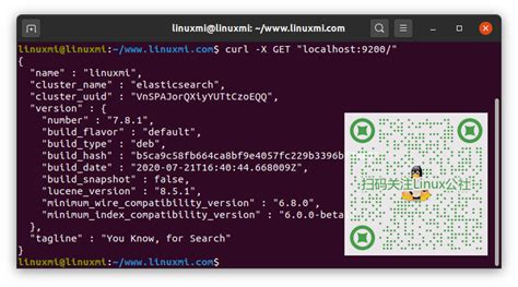 如何在ubuntu 2004上安装elasticsearch Linux迷