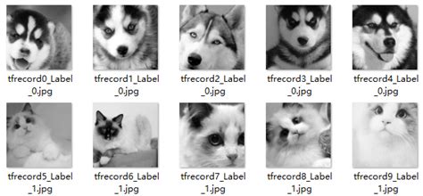Tensorflow修炼手册——构建自己的tfrecords数据集 知乎 Tensorflow修炼手册——构建自己的tfrecords数据集 知乎