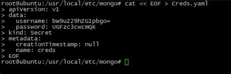 How To Deploy MongoDB On Kubernetes With Serverspace Serverspace Io
