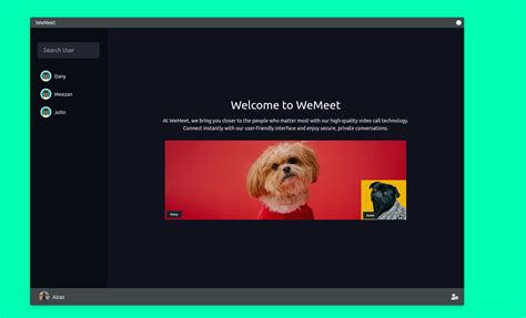 One To One Live Real Time Video Chat Webapp Using Laravel Webrtc Reverb Javascript Screen