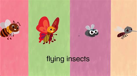A Visual Guide To Naming Common Flying Bugs In Your Home