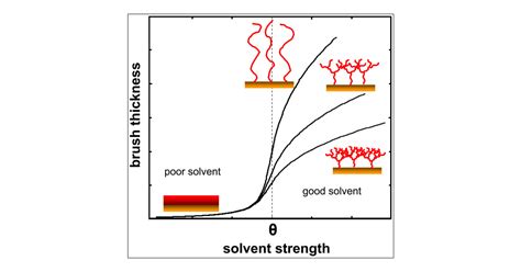 Dendron And Hyperbranched Polymer Brushes In Good And Poor Solvents Langmuir