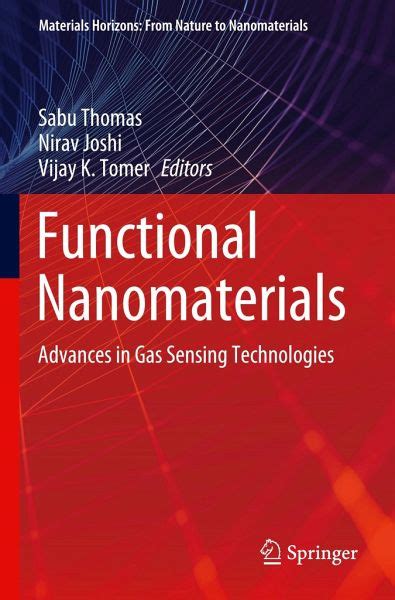 Functional Nanomaterials Fachbuch Bücher De