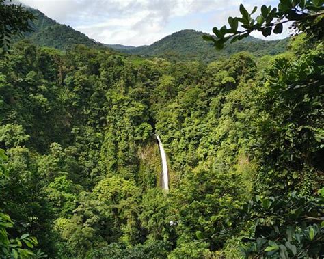 Best 코스타리카 관광명소 Tripadvisor 트립어드바이저