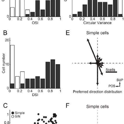 5 The State Effects On Orientation Tuning Of Layer 4 Simple Cells A