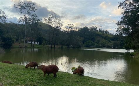 Lago Javary Cartão Postal De Miguel Pereira Miguel Pereira O Dia