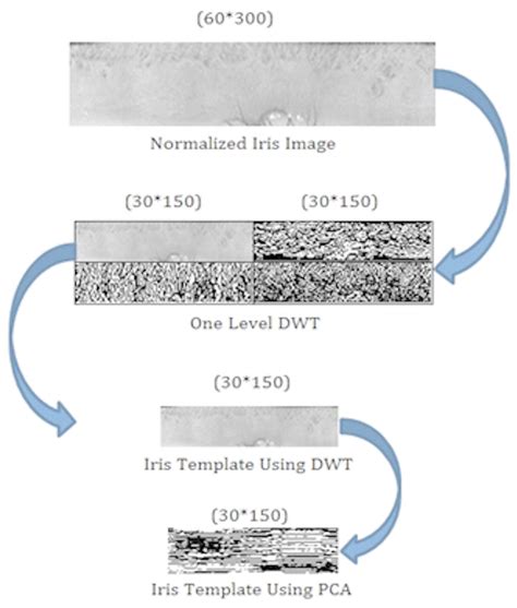 A Fast Iris Recognition System Through Optimum Feature Extraction [peerj]