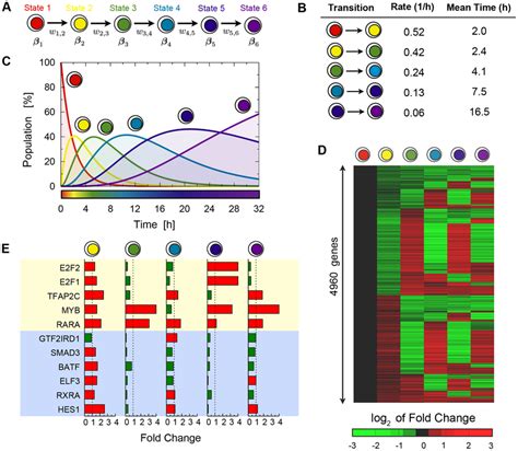 The Single Cell Transition Rates And State Transcriptional Profiles In Download Scientific