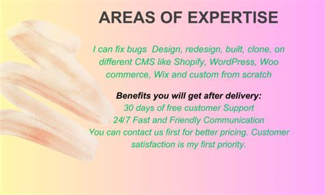 fix bugs design redesign build a responsive wordpress web by