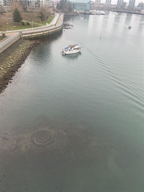 what is the story behind the underwater spiral in false creek below the