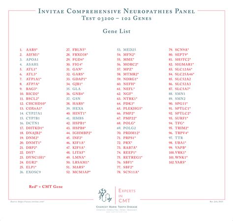 Cmt Genetic Testing Uncovering Why Cmt Genetic Testing Is Limited Genomes To Treatment