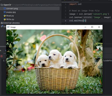 Reading Writing And Displaying Images Using Opencv In Python Codeforgeek