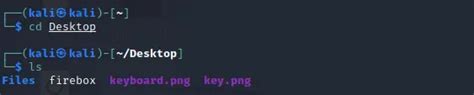 comandos bÁsicos do kali linux tutorial kalilinux