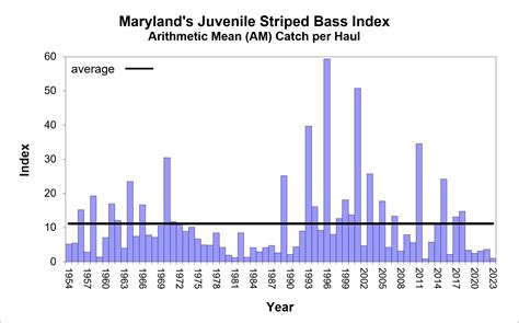Warm Winters Low Water Flow Are Leading Factors In Poor Striped Bass