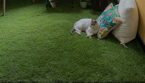 Indoor Artificial Grass To Transform Your Home Turfgrass