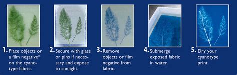 Jacquard Products — Cyanotype Set