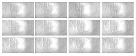 An Improved Finger Knuckle Print Recognition Using Fractal Dimension