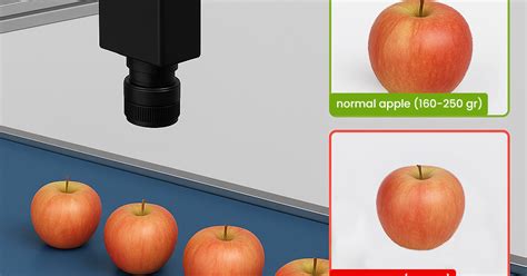 Optical Sorting System Ai Powered Optical Sorting For Robovision