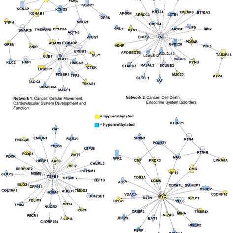 Network Diagrams Generated As A Graphical Representation Of The Download Scientific Diagram