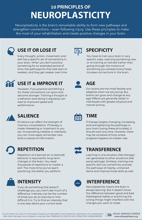 10 Principles Of Neuroplasticity
