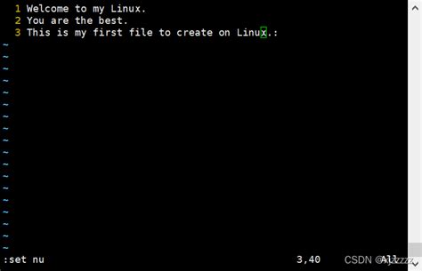 linux中的文件与目录操作 linux在文件夹test1中创建文本内容为把当前运行的除内核进程以外的信息写到当前用 csdn博客