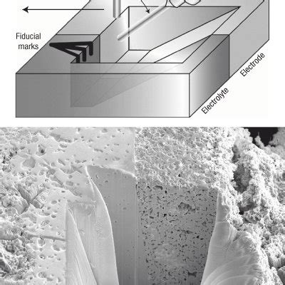 Schematic Diagram Showing The FIBSEM Geometry And A Low Magnification Download Scientific