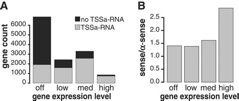 Divergent Transcription From Active Promoters Science