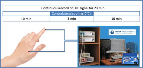 Relationship Of Oscillating And Average Components Of Laser Doppler Flowmetry Signal