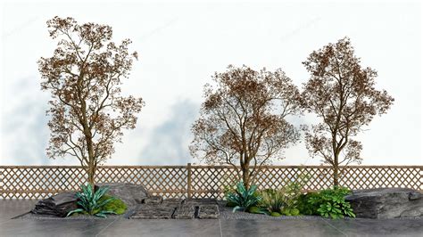 Backyard Landscape Trees Sketchup 3d Model Skp File Download Sketchupbox