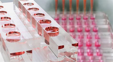 A Biochip With Organ Specific Tissue Models For Advanced Drug Screening Advanced Science News