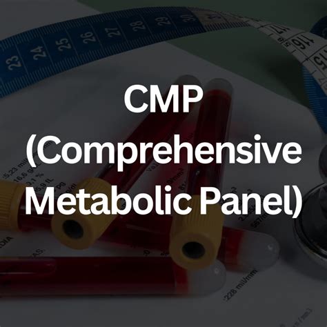 CMP Comprehensive Metabolic Panel M M Labs