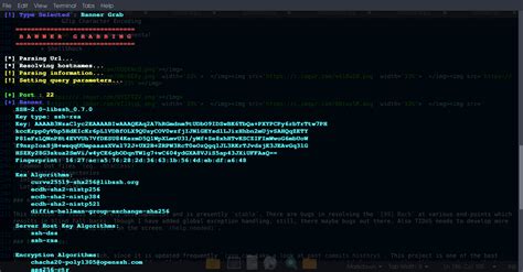 tidos framework the offensive web application penetration testing
