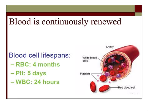 Hypoplastic Bone Marrow Syndromes Ppt
