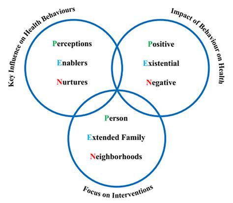 The PEN Cultural Model Adapted From Collins O Airhihenbuwa The Download Scientific Diagram