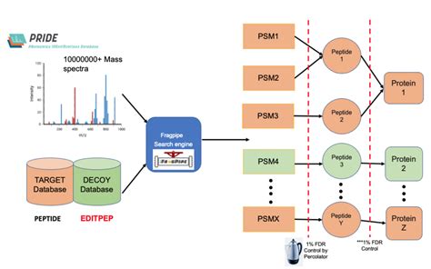 Research Experiences