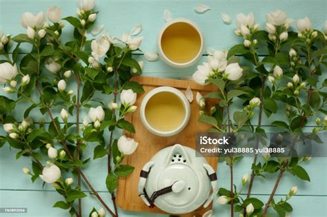 재스민 차 밝은 녹색 나무 배경에 라이트 그린 라운드 컵 주전자 와 자스민의 가지에 유기농 천연 꽃 Teajasmine 차 0명에 대한 스톡 사진 및 기타 이미지 Istock