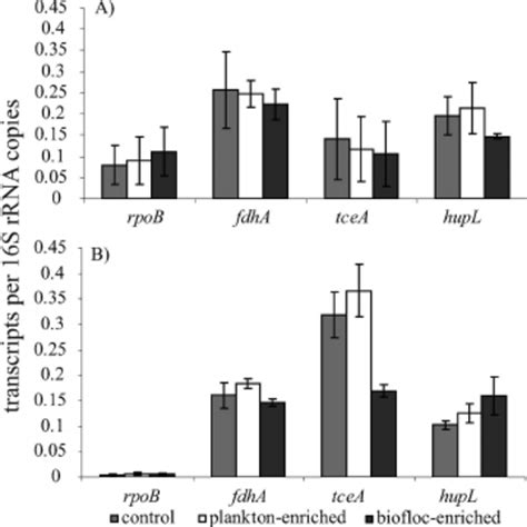 Average Gene Expression Values For Dehalococcoides Ethenogenes Strain
