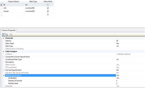 C İle Excele Veri Yazmak