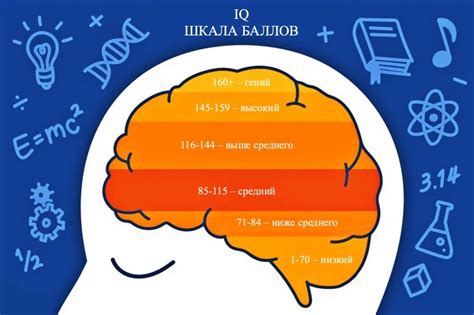 Интеллект Что Это Такое 10 Признаков Высокого Iq