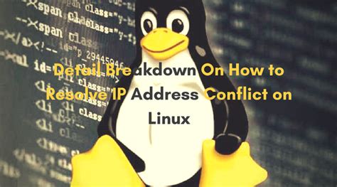 Detail Breakdown On How To Resolve IP Address Conflict On Linux
