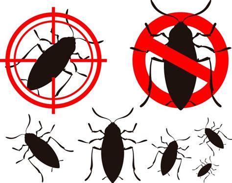 Cockroach Vector Images And Graphics For Commercial Use Vectorstock