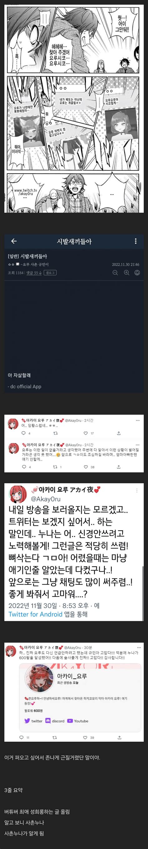 사촌 누나가 최애 버튜버였다 포텐 터짐 최신순 에펨코리아