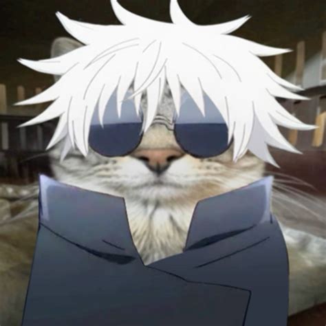 Идеи на тему «Зазу Zazu Cat 😍🥰🤩🔥 32 в 2025 г котята милые