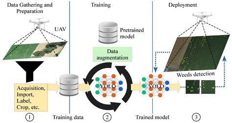 Deep Object Detection Of Crop Weeds Performance Of Yolov7 On A Real