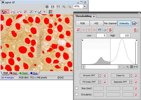 Image Segmentation NIS Elements