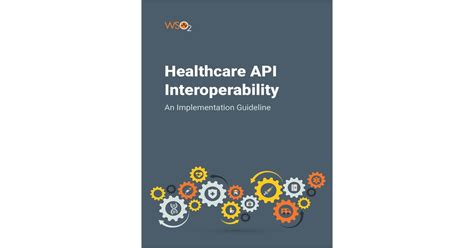 Healthcare Api Interoperability An Implementation Guideline Free White Paper